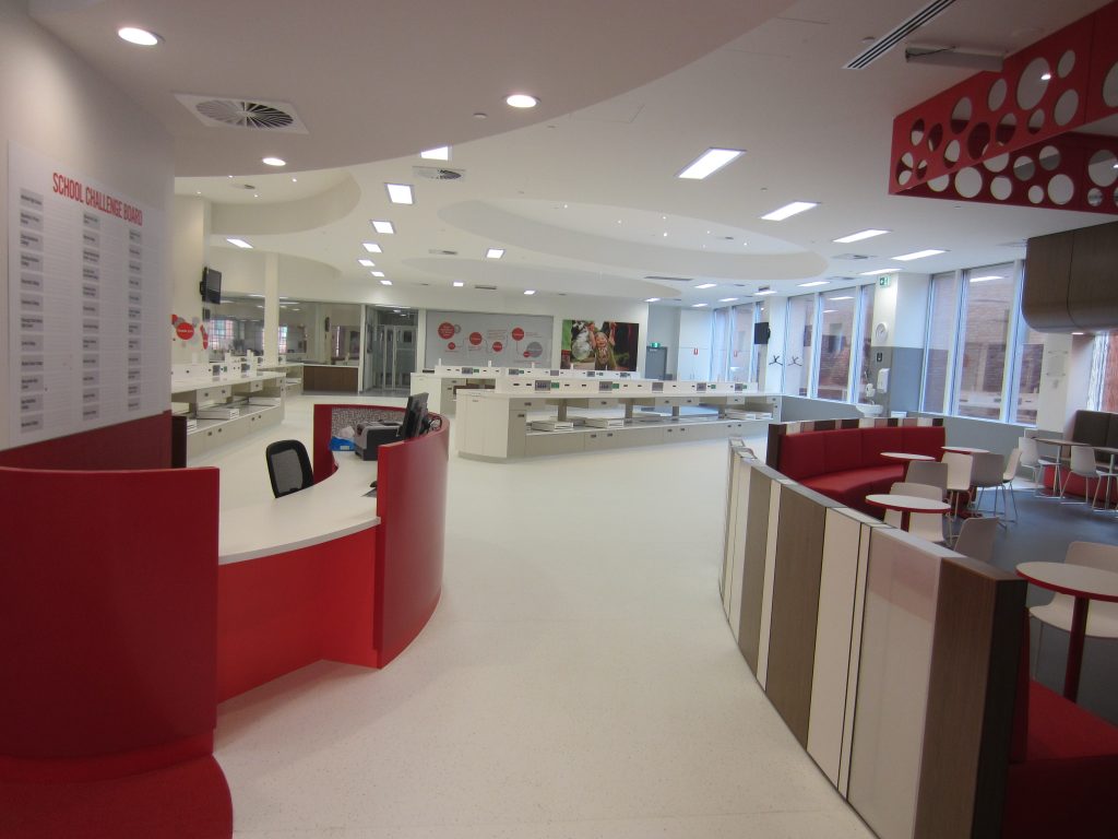 RBDC_After_2 - Ginos Group